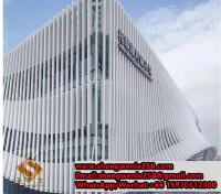 China Aluminum hollow wall panel for curtain wall facade cladding wall panel with 2mm thickness perforated screen for sale