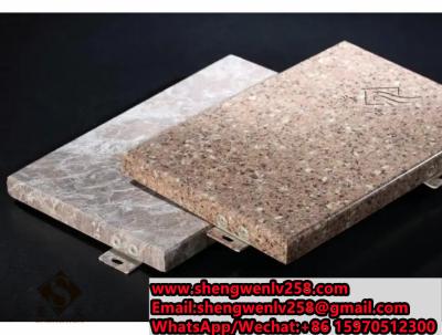 China Aluminum Solid Panel for Modern Door Decoration Support Custom Perforated for sale