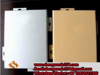 China custom modeling aluminum veneer modern building curtain wall art decor for sale
