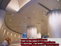 China Decorative Curtain Wall Aluminum Plate Custom Aluminum Veneer Facade for sale