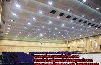 China Aluminum Facade Cladding Curtain Wall Decorative Building Material Perforated Panel for sale