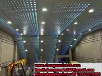 China Art Aluminum Perforated Panel Custom Patterns/Colors Modern Building Facade for sale