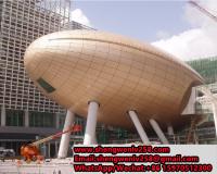 China Hot Selling Exterior Solid Panel Laser Cut Aluminum Perforated Panels for sale