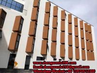 China Mtal Ceiling Building Materials Exterior Wall Cladding Anodize Aluminum Panel for sale