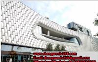 China 1220mm*2440mm Aluminum Perforated Decorative Wall Panels for Outdoor for sale