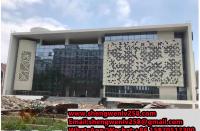 China Aceplate Wall Sheets Decoration Aluminium Perforated Facade Panel for Exterior Wall for sale