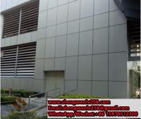 China Outdoor Hotel Room Custom Design Curtain Wall Aluminum Veneer Panel Punched Aluminum Veneer Series for sale