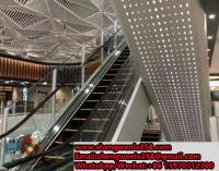 China Perforated Aluminum Veneer Series Building Facades Curtain Wall Aluminum Veneer Panel for sale