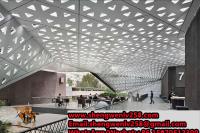 China Aluminum Products Building Material Perforated Panel for Facade Wall for sale