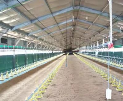 China Prefab Metal Structure Building Dairy Cow Shed Goat Farming House Light Steel Frame Horse Barn Steel Structure Poultry House for sale