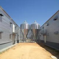 China Prefab Metal Structure Building Dairy Cow Shed Goat Farming House Light Steel Frame Horse Barn Steel Structure Poultry House for sale
