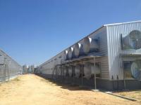 China Galvanized Steel Structure Poultry House GB Standard for sale