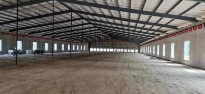 China Q235B Q355B Custom Steel Structures Poultry Hen Farm House Anti Corrosion for sale