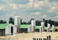 China Sheep Pen Poultry Metal Shed Buildings Agricultural Prefab Metal ShedFire Resistant for sale