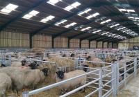 China Sheep Pen Poultry Metal Shed Buildings Agricultural Prefab Metal ShedFire Resistant for sale