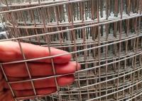 China 2 In X 4 In Welded Wire Mesh Rolls 60 In X 100 Ft Galvanised for sale