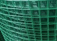 China 1/4 Inch Pvc Coated Welded Wire Mesh 23 Gauge Galvanized for sale