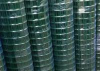 China 1/4 Inch Pvc Coated Welded Wire Mesh 23 Gauge Galvanized for sale