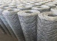 China 6 Feet High Galvanized Hex Wire Mesh , Iron Chicken Wire Fence Corrosion Resistance for sale
