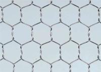 China 1/2 Inch Chicken Wire Mesh Roll Hardware Cloth Galvanized 19 Gauge For Garden Plant for sale