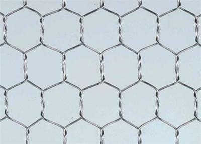 China 1/2 Inch Chicken Wire Mesh Roll Hardware Cloth Galvanized 19 Gauge For Garden Plant for sale