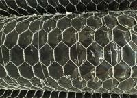 China 1/2 Inch Chicken Wire Mesh Roll Hardware Cloth Galvanized 19 Gauge For Garden Plant for sale