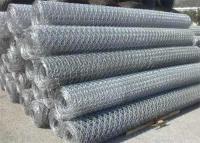 China 6 Ft X 100 Ft Poultry Netting Pvc Coated Hexagonal Wire Mesh 20 Gauge Double Twisted for sale