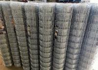 China Grassland Farm Galvanized Hinge Joint Wire Mesh 50m Roll High Tensile Strength for sale