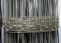 China Woven 12 Bwg Hinge Joint Wire Mesh Horse Farm And Field Fence Hot Dipped Galvanized for sale