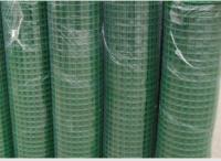 China Hot Dipped Galvanized Pvc Coated Welded Wire Mesh Bwg12 For Fence for sale