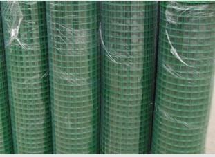 China Hot Dipped Galvanized Pvc Coated Welded Wire Mesh Bwg12 For Fence for sale