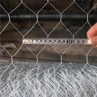 China 1/2 inch 1m Chicken Wire Mesh Roll Hot Dipped Galvanized Hexagonal Wire Mesh Fencing for sale