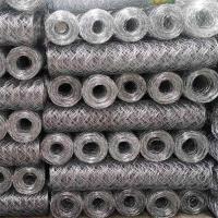 China 1/2 inch 1m Chicken Wire Mesh Roll Hot Dipped Galvanized Hexagonal Wire Mesh Fencing for sale