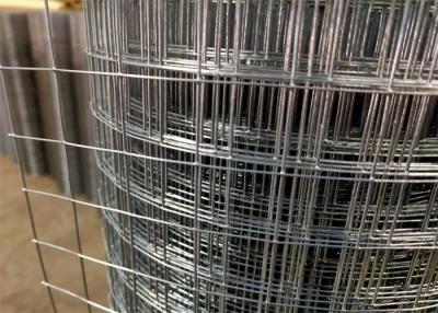 China 2.5mm 4in Galvanised Wire Metal Screen Mesh Roll For Construction for sale