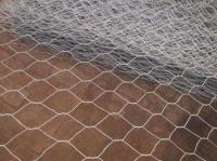 China 2 X 1 X1 2.7mm Gabion Baskets Rock Filled Hexagonal Wire Mesh Gabion for sale