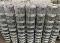 China 100m Galvanized Livestock Hinge Joint Wire Mesh Fencing High Tensile for sale