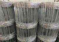China 1.2m Farm Fence With Hinge Joint Wire Mesh Weather Resistance For Horse Sheep for sale