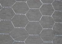 China 0.5in Hexagonal Chicken Coop Galvanized Wire Mesh Galvanised Wire Netting 50m Roll for sale