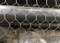 China Iron 1in Galvanized Chicken Wire Mesh Roll Poultry Netting 30m for sale