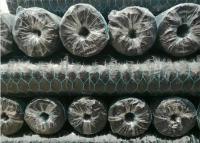 China 1m Rabbit Welded Galvanised Steel Chicken Wire Roll BWG21 Chicken Coop Galvanized for sale