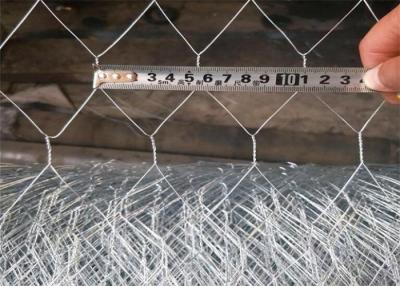 China 20 Gauge 304 Stainless Steel Chicken Wire Mesh Roll For Rabbit Hutch for sale