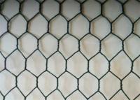 China 3/4in 1.0mm Galvanized Steel Poultry Netting Roll 30m Green Pvc Coated Chicken Wire for sale