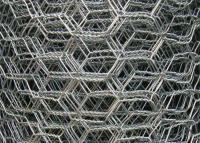 China 2mm 25m Garden Rabbit Chicken Wire Mesh Roll Coop Welded Wire PVC Coated for sale