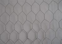 China 1/2in Lightweight Chicken Hexagonal Wire Mesh Hexagonal 2 Inch Mesh Poultry Netting for sale