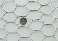 China 0.5in Chicken Wire Mesh Roll Corrosion Resistant Poultry Fencing Net For Crafts Garden for sale
