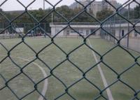China 8ft Green Plastic Coated Chain Link Fence Mesh Fencing Net 60 X 60mm For Sports Ground for sale