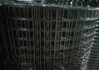 China 0.5in PVC Coated Welded Wire Mesh for sale