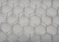 China 1X1 In 2mm Chicken Wire Mesh Roll 30m Rabbit Wire Mesh Fencing Hexagonal Wire Netting for sale