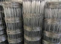 China 1.2m 2.5mm Hinge Joint Wire Mesh Knot For Cattle Farm Hot Dipped Galvanized Field Fence for sale