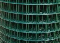 China Garden Protect Plastic Coated Weldmesh Green Color 2x2 for sale